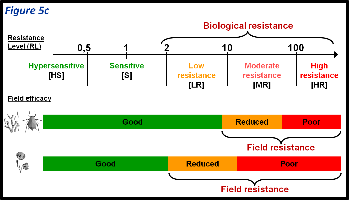 Characterization of resistance – R4P